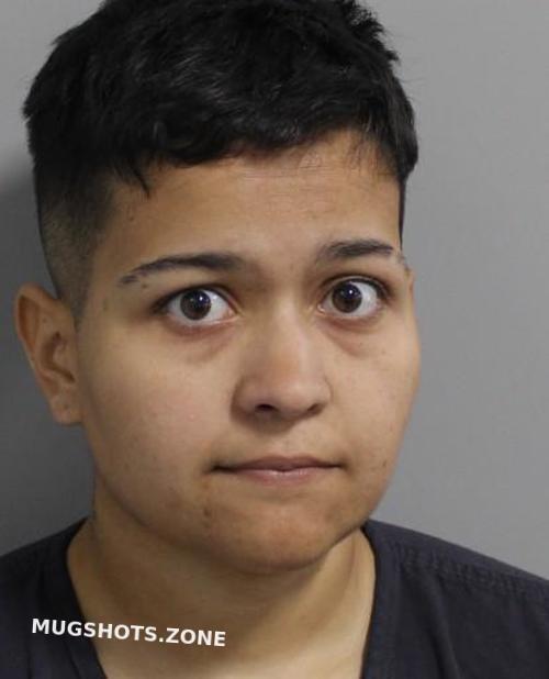 FARIA ARIANA 04/21/2024 - Polk County Mugshots Zone