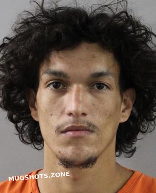 RIVERA RAMOS WILLIAM JOEL 05/13/2024 - Polk County Mugshots Zone