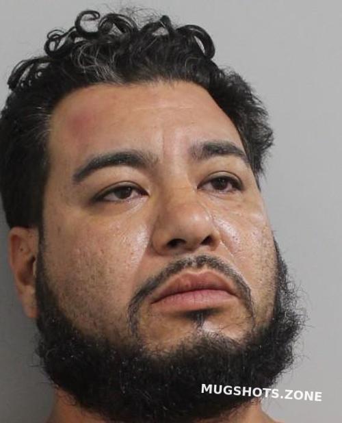 COSTA JULIO LIBERATO 05/25/2024 - Polk County Mugshots Zone