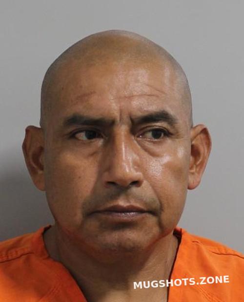 PUGA G JUAN CARLOS 06/11/2024 - Polk County Mugshots Zone