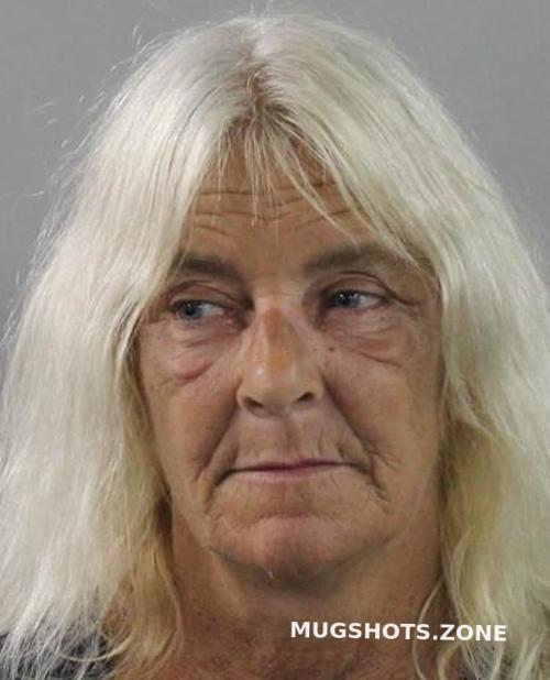 ILER NANCY ANN 06/22/2024 - Polk County Mugshots Zone