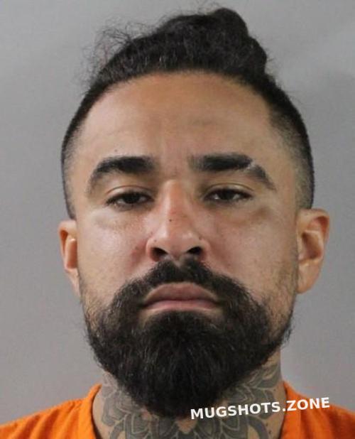 ROCHE HECTOR DANIEL 07/21/2024 - Polk County Mugshots Zone