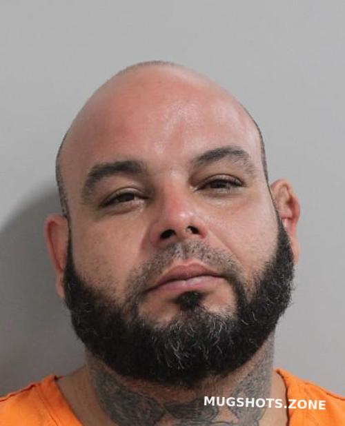 MIGNUCCI PAGAN JOEHAM ISMAEL 08/10/2024 - Polk County Mugshots Zone