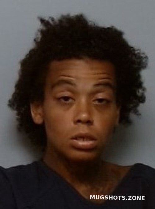 WHITE JEANETTE 08/11/2024 - Polk County Mugshots Zone