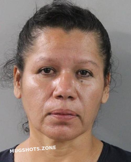 MENDEZ LOPEZ MARCELA O 08/18/2024 - Polk County Mugshots Zone