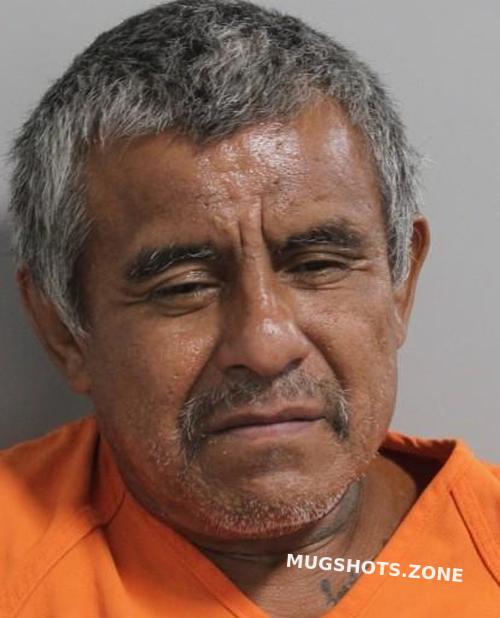 ZAMORA RODOLFO 08/30/2024 - Polk County Mugshots Zone