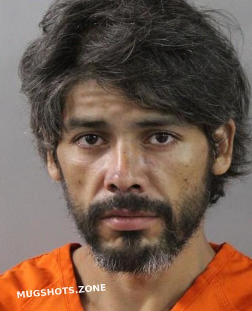 REYES DAVID ANTHONY 09/14/2024 - Polk County Mugshots Zone