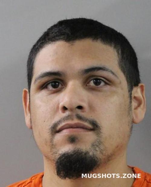 ANAYA-COLON DAVE PATRICK 10/02/2024 - Polk County Mugshots Zone