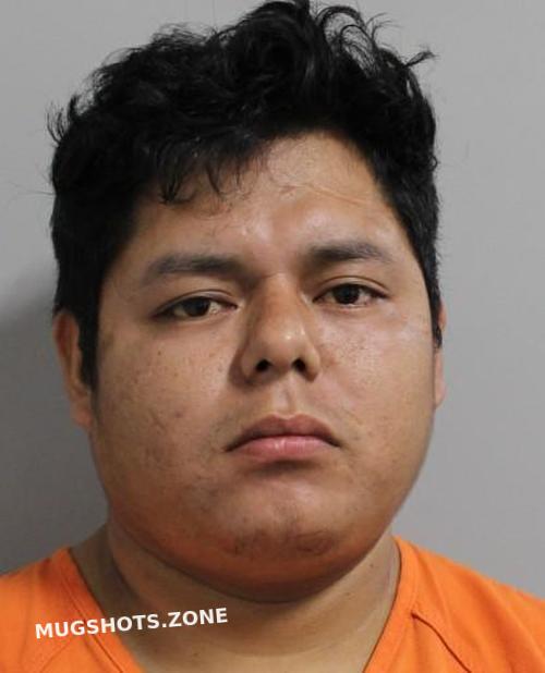 ALVAREZ ALEJANDRO DIEGO 10/04/2024 - Polk County Mugshots Zone