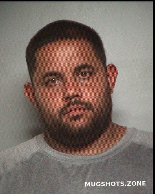 LOPEZ MENDEZ GABRIEL ALBERTO 10/05/2024 - Polk County Mugshots Zone