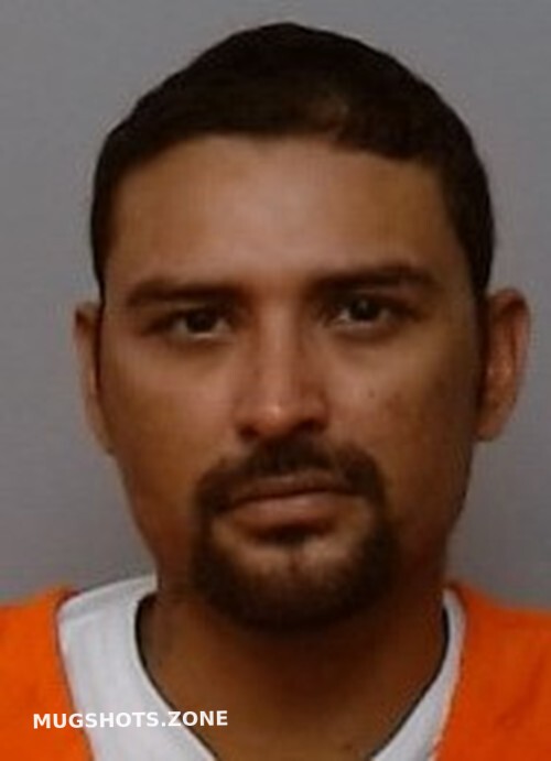 GONZALEZ LOUIS 10/11/2024 - Polk County Mugshots Zone
