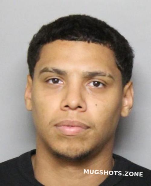 FIGUEROA COLON CHRISTOPHER ALEXIS 11/02/2024 - Polk County Mugshots Zone