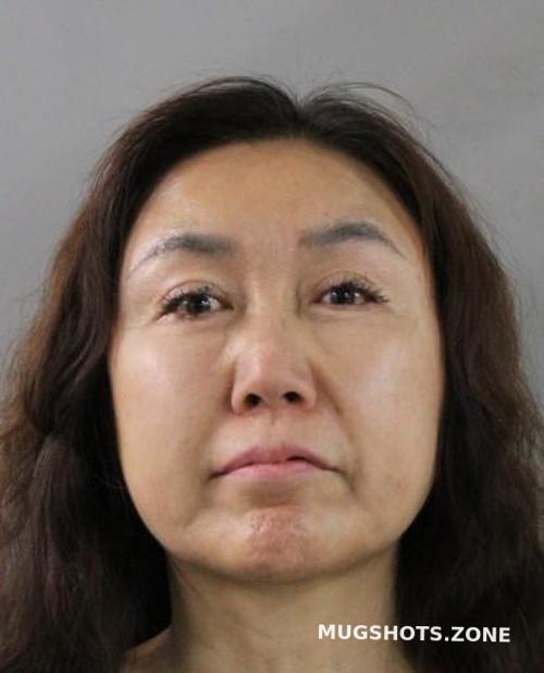 AN LI 11/04/2024 - Polk County Mugshots Zone