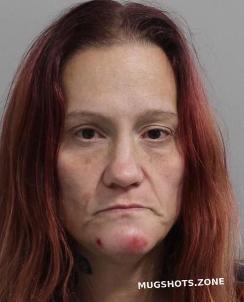 HOBBS APRIL LYNN 11/07/2024 - Polk County Mugshots Zone