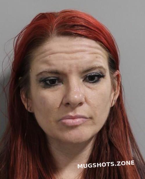 GOODWIN HALEY JANE 11/11/2024 - Polk County Mugshots Zone