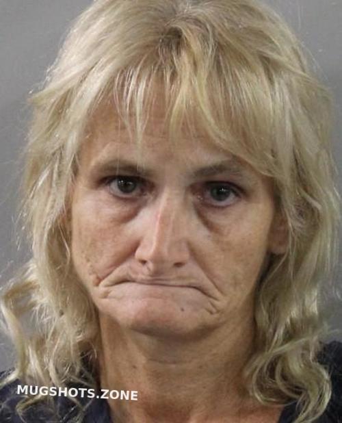 WARD AMY 11/13/2024 - Polk County Mugshots Zone