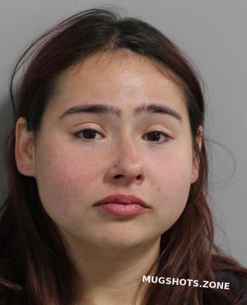 SCHILLING ANNA VICTORIA MONTESANO 11/16/2024 - Polk County Mugshots Zone