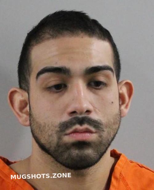 VEGA IAN JOSEPH 11/16/2024 - Polk County Mugshots Zone