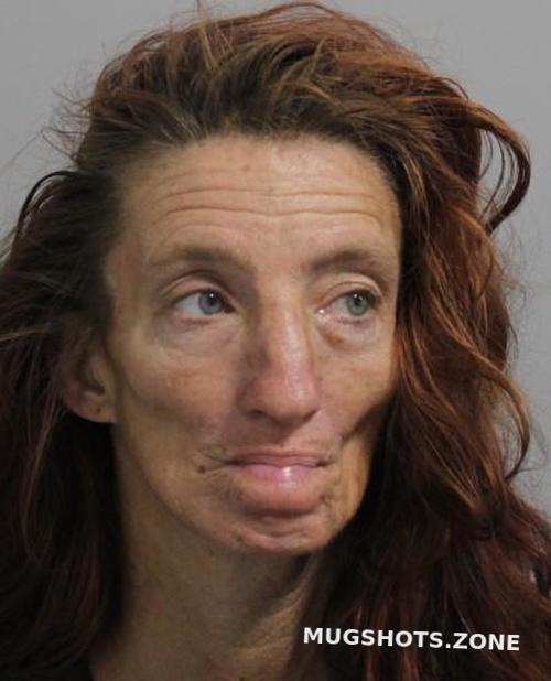 GAUL MARY ANN 11/26/2024 - Polk County Mugshots Zone