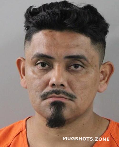 MONTOYA RIOS GUILLERMO JUNIOR 12/03/2024 - Polk County Mugshots Zone