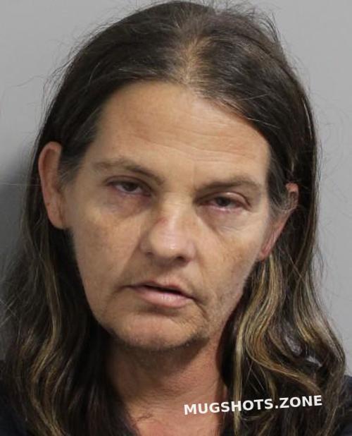 VONDRASEK STACY KAY 12/19/2024 - Polk County Mugshots Zone