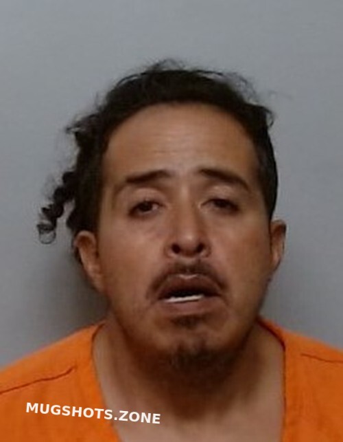 LEBRON CESAR ANGEL DE JESUS 01/03/2025 - Polk County Mugshots Zone