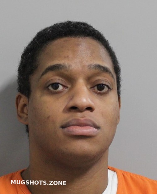 SWINT GREGORY LEON 02/03/2025 - Polk County Mugshots Zone