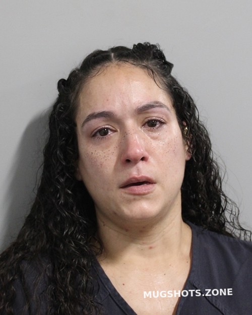 FIGUEREDO ILENE LISBETH 02/07/2025 - Polk County Mugshots Zone