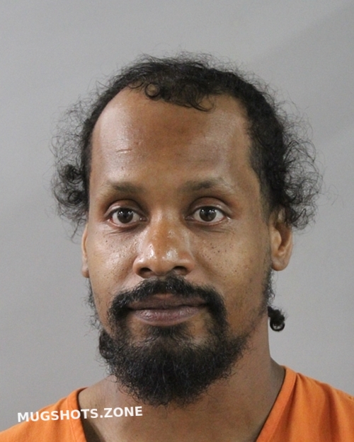 WILLIAMS NICHOLAS 02/08/2025 - Polk County Mugshots Zone