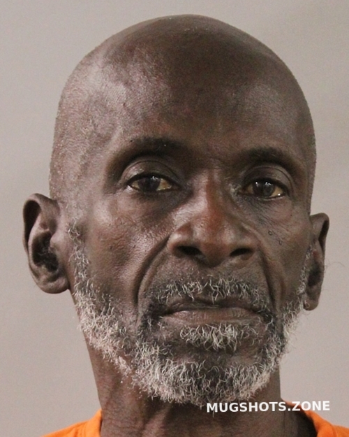 MANNING RAYMOND 02/15/2025 - Polk County Mugshots Zone