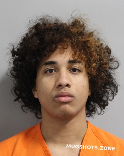 JIMENEZ DAVEN ANTONIO 02/16/2025 - Polk County Mugshots Zone