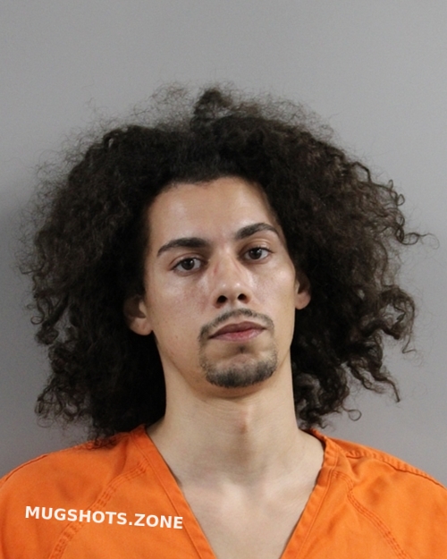 NEGRON ANTHONY 03/09/2025 - Polk County Mugshots Zone