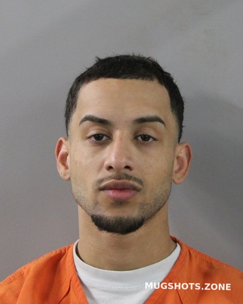 TORRES FERNANDEZ KENIEL JESUS 03/22/2025 - Polk County Mugshots Zone