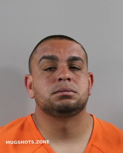 PITRE ROSADO RICARDO OMAR 03/22/2025 - Polk County Mugshots Zone