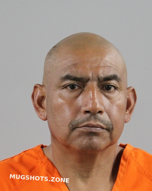 PUGA G JUAN CARLOS 03/24/2025 - Polk County Mugshots Zone