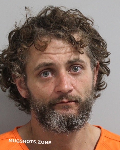 DRAKE DAVID 03/25/2025 - Polk County Mugshots Zone