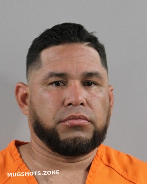 SANTOYA VILLARROEL MERWIS JOSE 03/30/2025 - Polk County Mugshots Zone