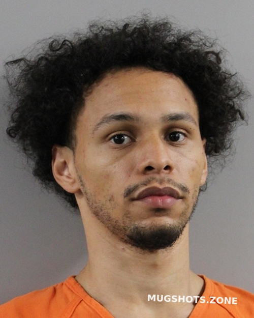 ALMONTE AARON MICHAEL ZAVIER 04/03/2025 - Polk County Mugshots Zone