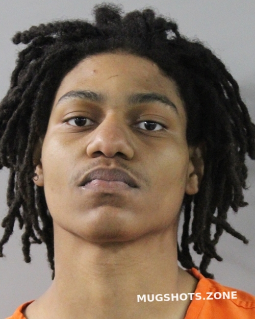 JANVIER STEPHANELY 04/04/2025 - Polk County Mugshots Zone