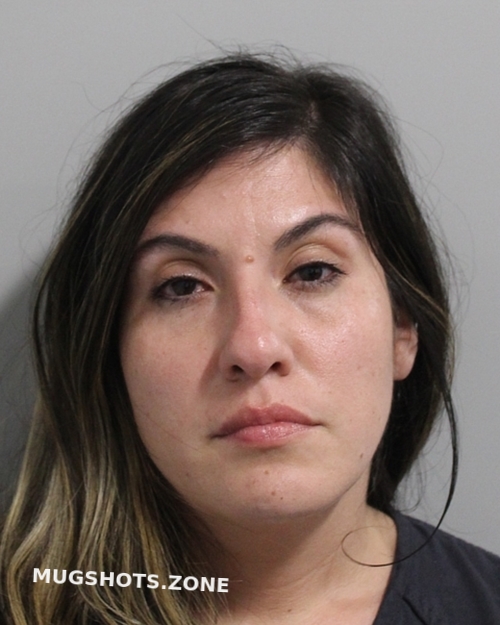 NEGRILLO FRANCESCA 04/19/2025 - Polk County Mugshots Zone