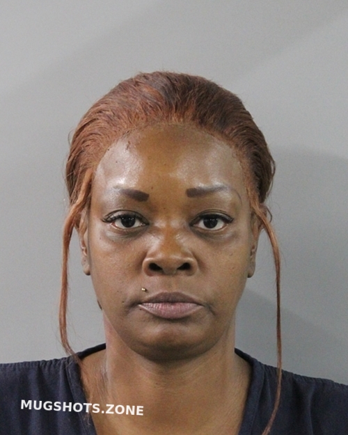 LEE NATASHA 04/23/2025 - Polk County Mugshots Zone