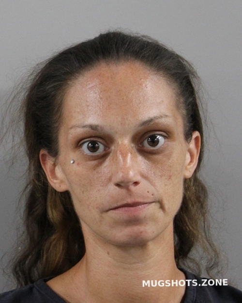 NICHOLSON ALYSSA ANN 04/24/2025 - Polk County Mugshots Zone