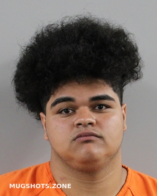COLON ETHAN 04/28/2025 - Polk County Mugshots Zone