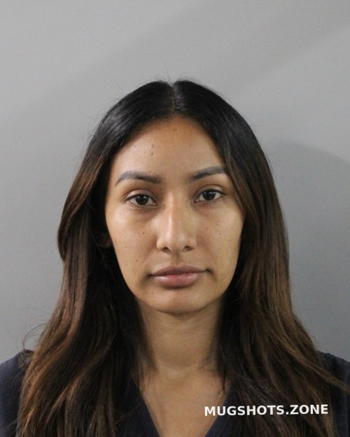 VICENTE ROJAS DANIELA 04/29/2025 - Polk County Mugshots Zone