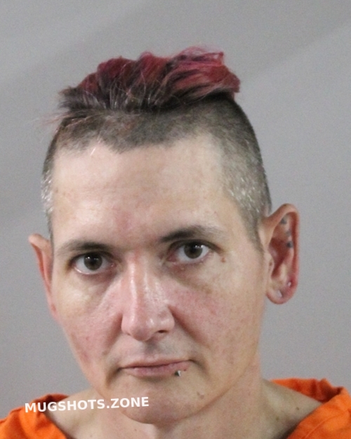 SHEFFIELD TIMOTHY C 05/08/2025 - Polk County Mugshots Zone