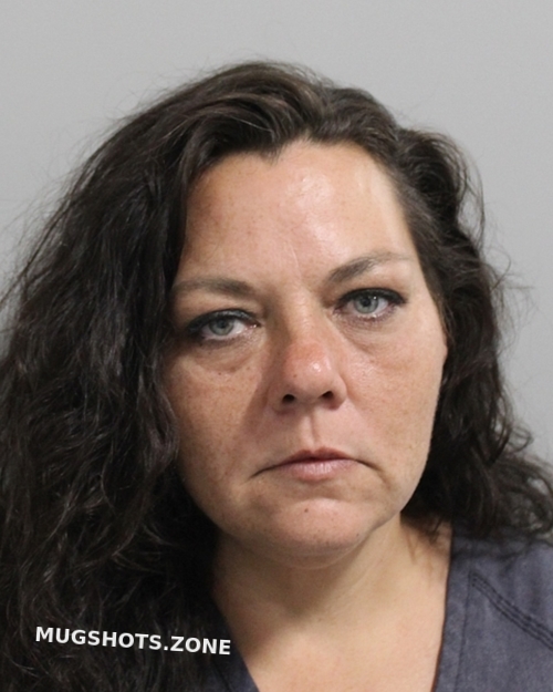 DAVIDSON LISA 05/10/2025 - Polk County Mugshots Zone