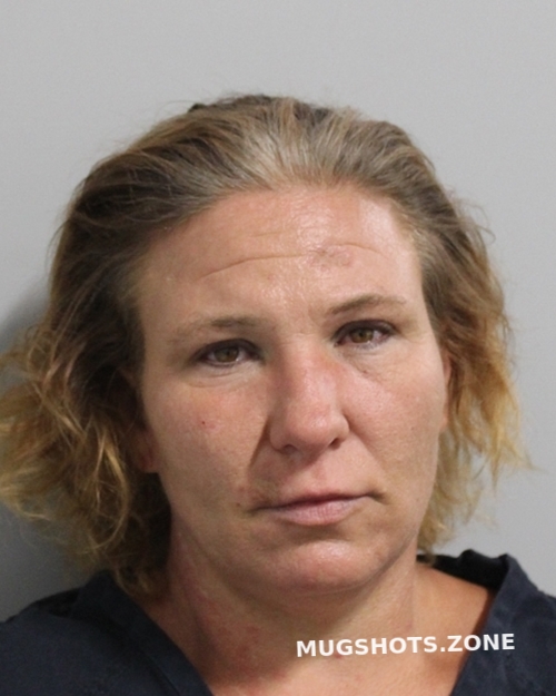 ALDERMAN BRINA NICOLE 05/17/2025 - Polk County Mugshots Zone