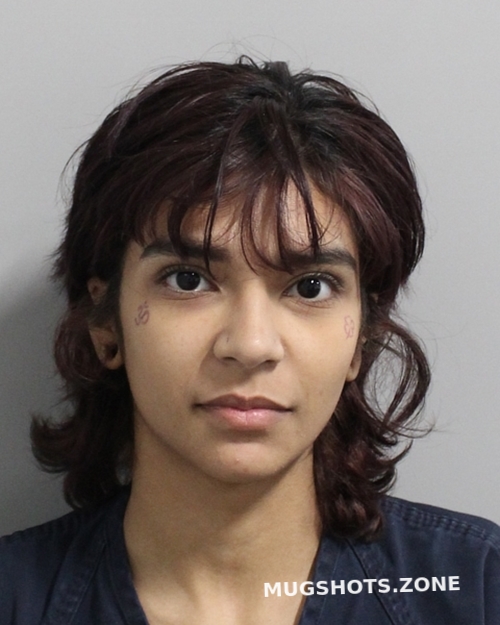 GOMEZ FRANCES 05/28/2025 - Polk County Mugshots Zone