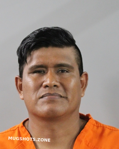 REYES ROJAS CARLOS 06/03/2025 - Polk County Mugshots Zone