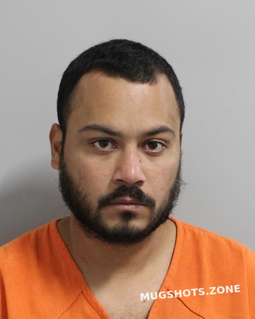 MAHADEO MICHAEL ANTHONY 06/03/2025 - Polk County Mugshots Zone